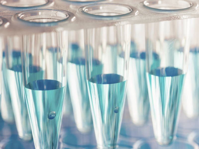 A Quick Guide to PCR Cleanup: Comparing Traditional Techniques with ...